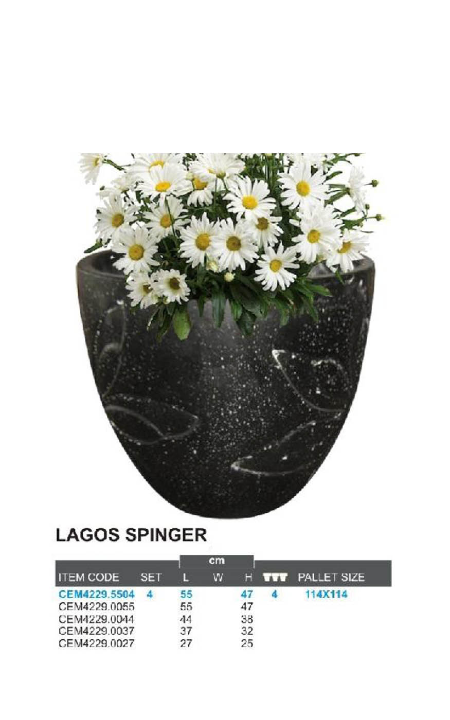 LAGOS SPINGER - ROSA PLANTERS VIETNAM CO., LTD